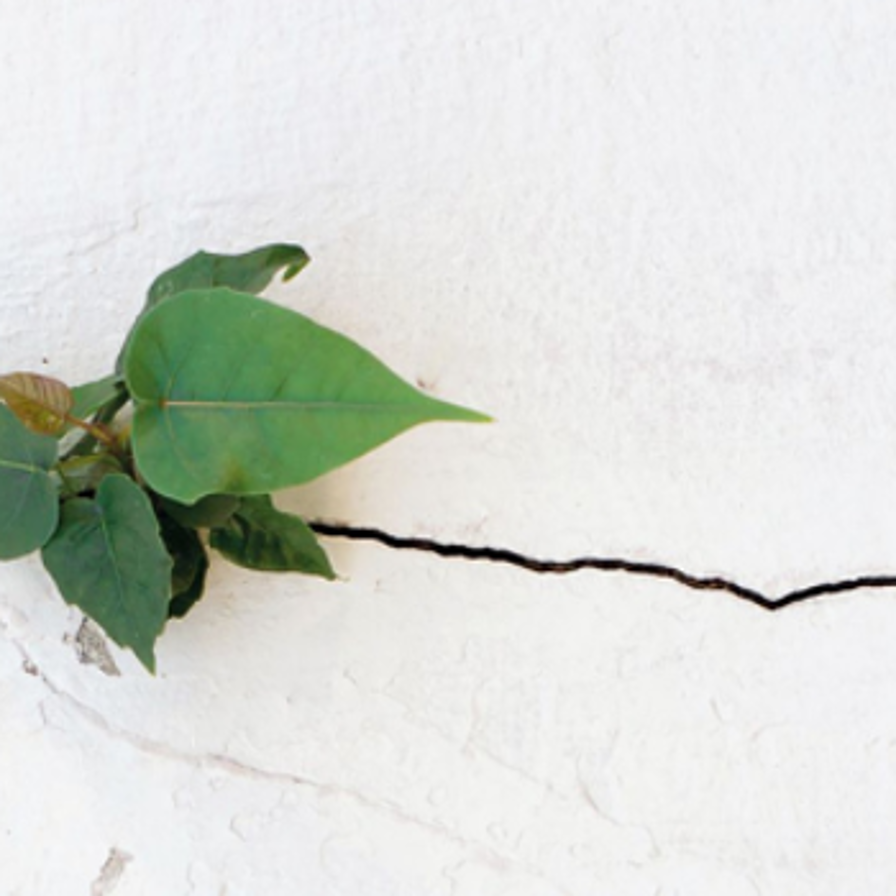 Project Goed Werk | CET - HvA | HvA