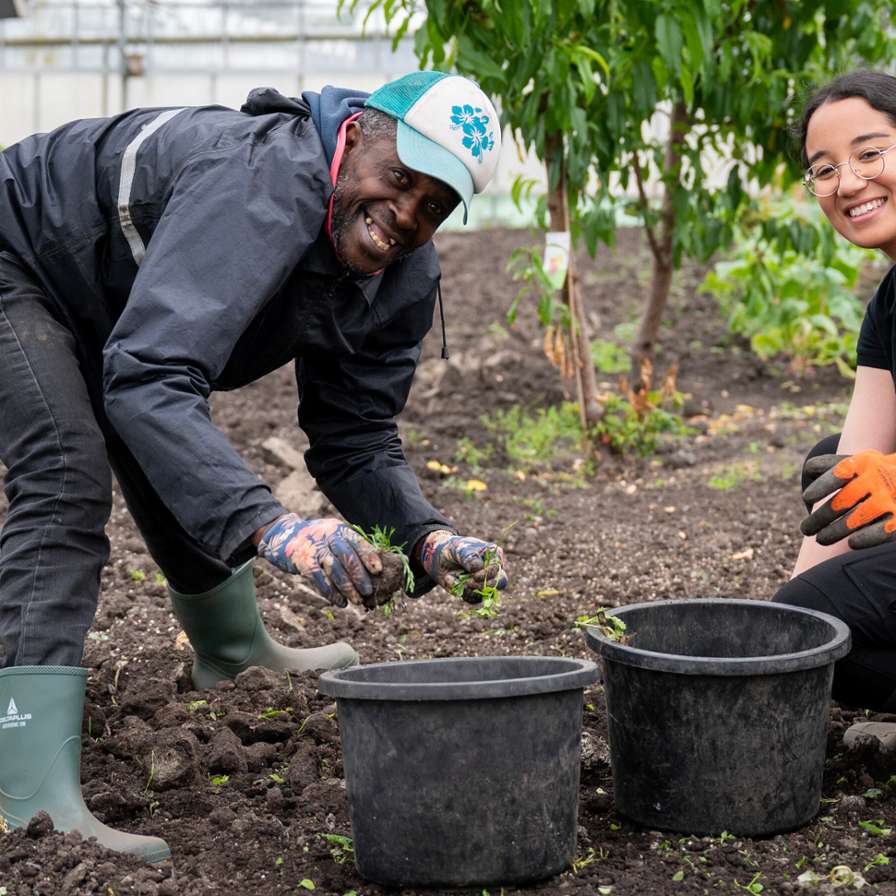 Wij-zij denken diepgeworteld in Nederlandse maatschappij | HvA