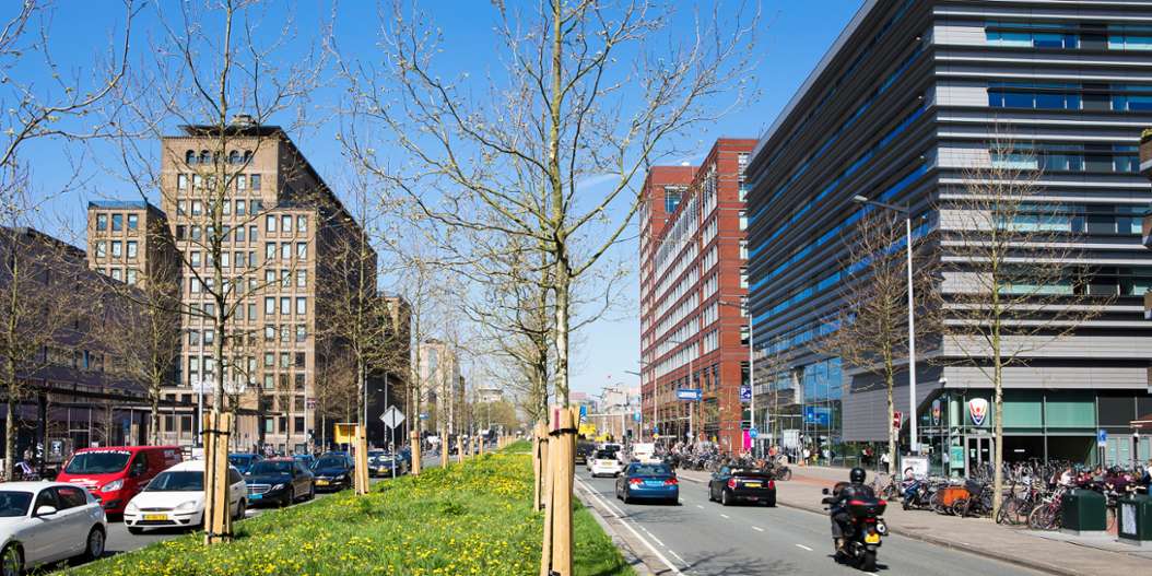 Aangepaste openingstijden tijdens vakanties en feestdagen | Locaties | HvA