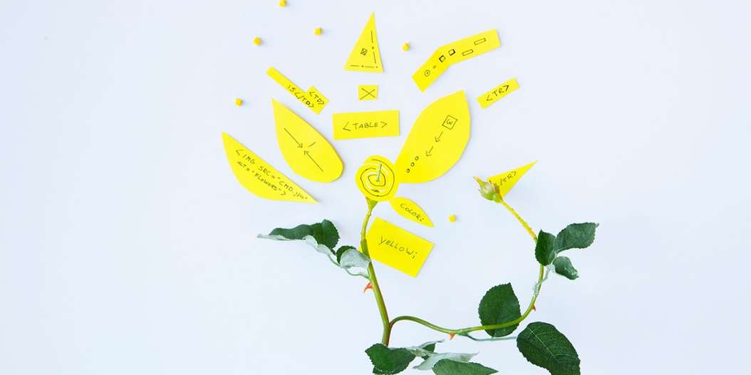 Volg een proefles bij CMD in Amsterdam | HvA