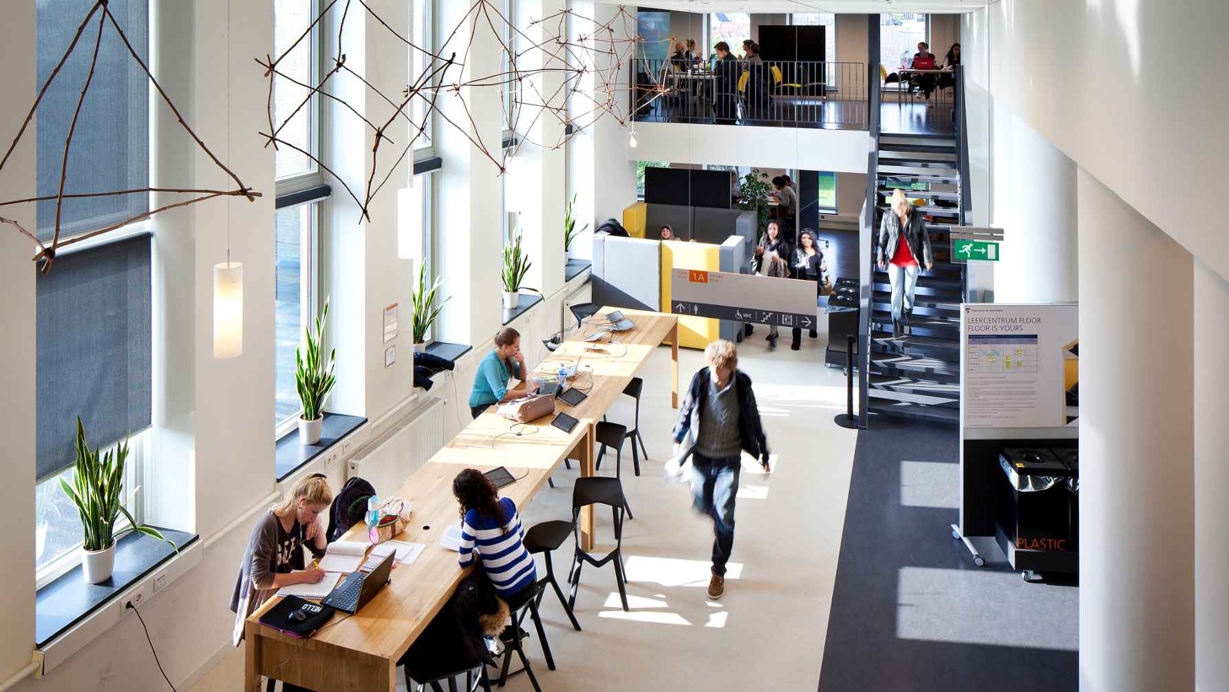 Organisatie | Faculteiten, bestuur, diensten en cijfers | HvA